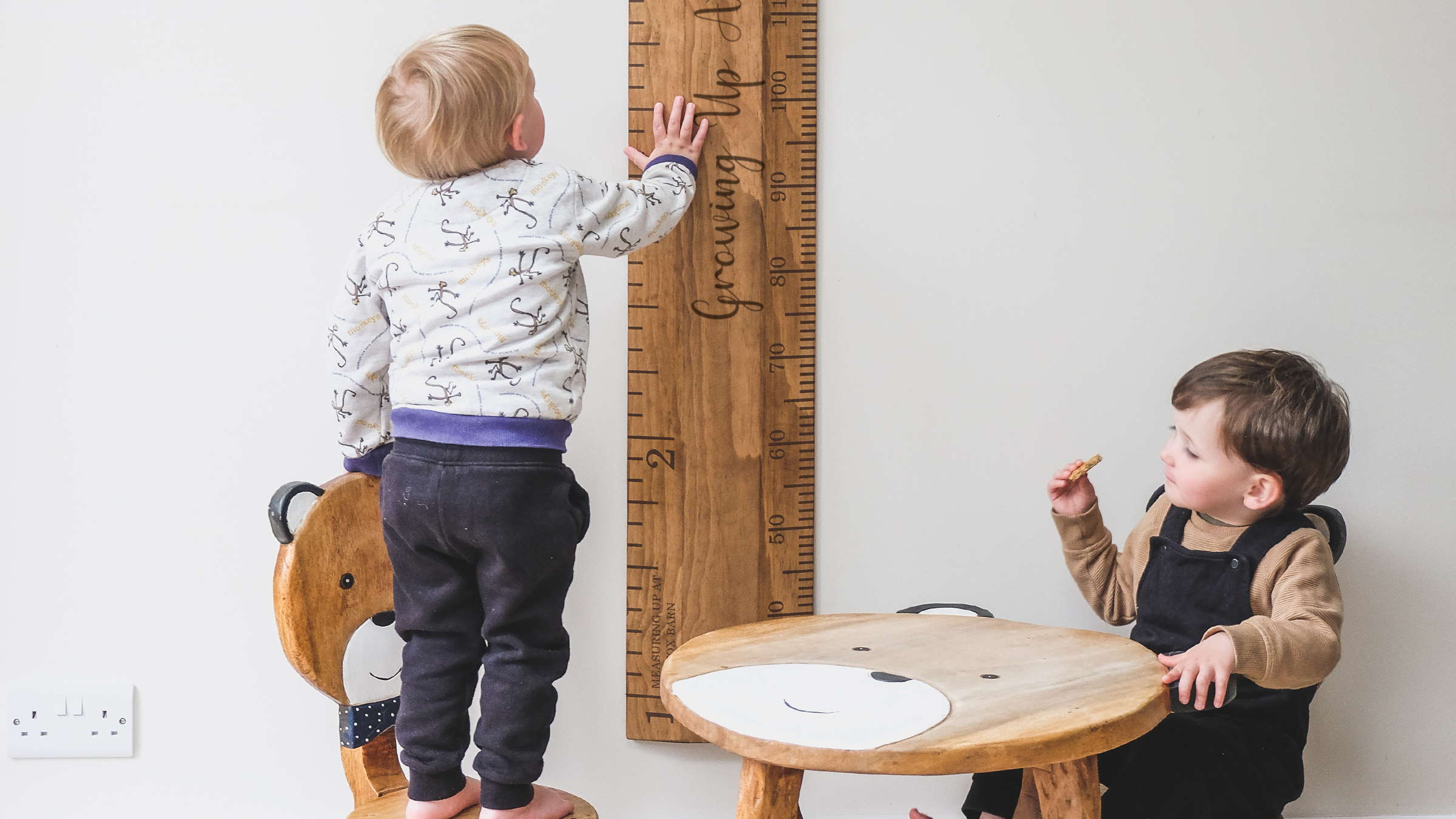 Personalised Real Wood Height Chart Rulers - One Simple Rule